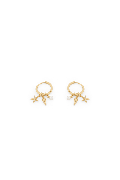 Starfish Hoop Earrings | Ladies Jewellery | Carraig Donn